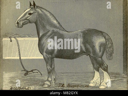 This catalogue details the livestock and breeding stock from Santa ...