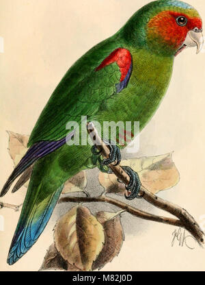 This 1891 catalogue documents the bird species housed in the British ...