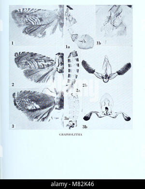This 1955 catalogue lists the type specimens of Microlepidoptera in the ...