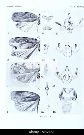 This 1955 catalogue lists the type specimens of Microlepidoptera ...