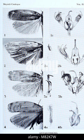 This 1955 catalogue lists type specimens of microlepidoptera in the ...