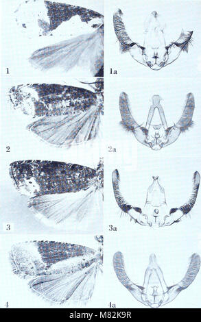 This 1955 catalogue lists the type specimens of Microlepidoptera ...