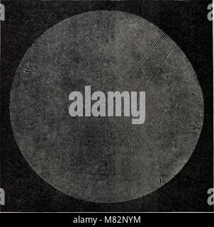 Characteristics of striæ in optical glass . i- 1-1-4-8-1632- 64- JfC3 ...
