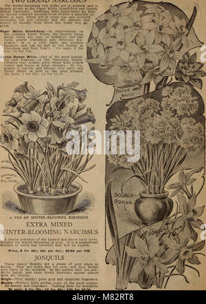 Childs' 1919 catalog provides detailed information on fall-blooming ...