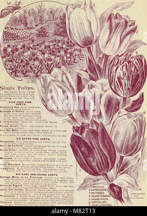 The 1899 'Childs' Fall Catalogue' offers a selection of blooming bulbs ...