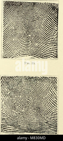 . Classification and uses of finger prints [electronic resource] . Fig ...