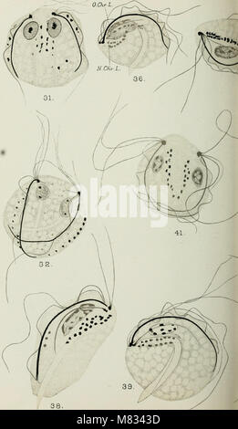 The Collected Papers (1904) is a collection of scientific articles and ...
