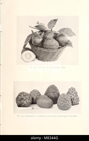 This collection of papers discusses tropical fruit cultivation in ...