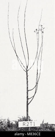 'Commercial Apple Growing in California' (1966) provides an in-depth ...