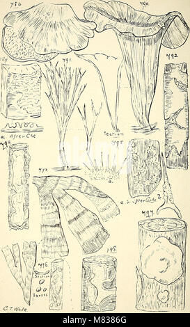 A comprehensive catalog of Queensland plants, both native and ...
