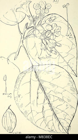 A comprehensive catalogue detailing the indigenous and naturalised ...