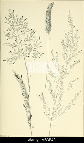 'Contagious Diseases of Domesticated Animals' (1884) provides an ...