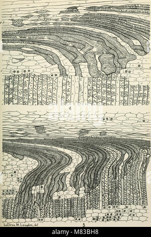 This publication series from the Botanical Laboratory of the University ...