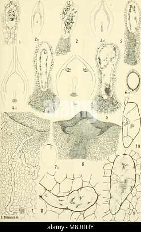 'Contributions from the Hull Botanical Laboratory' showcases various ...