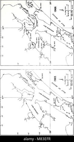 The 1975 Cooperative Gulf of Mexico Estuarine Inventory and Study ...
