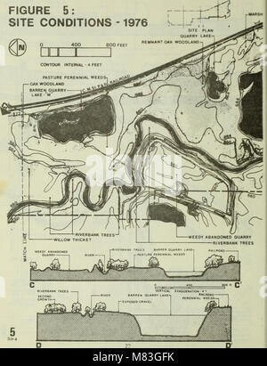 Creation of wetland habitats in northeastern Illinois (1982 ...