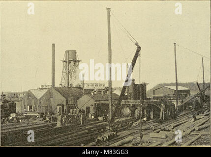 This 1900 publication discusses the use of creosoted timber in ...