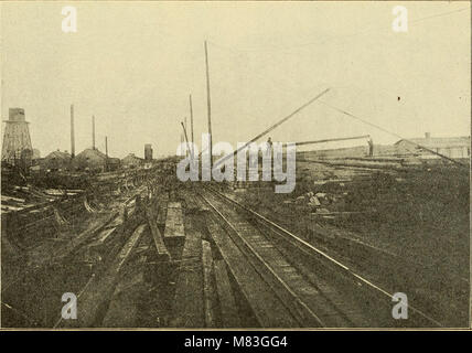 'Creosoted Timber' (1900) discusses the process and benefits of ...