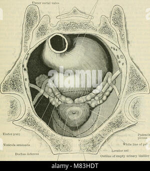 Cunningham’s Text-book of Anatomy offers comprehensive coverage of ...
