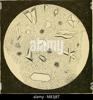 The 'Cyclopedia of Obstetrics and Gynecology' (1887) is a comprehensive ...