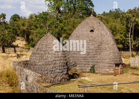 Traditional Dorze Huts, Ethiopia, Africa Stock Photo - Alamy