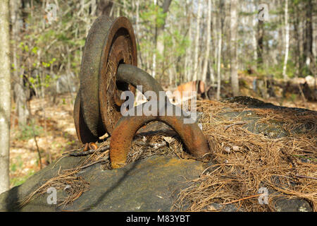 The abandoned Redstone Granite quarry in Conway, New Hampshire USA ...