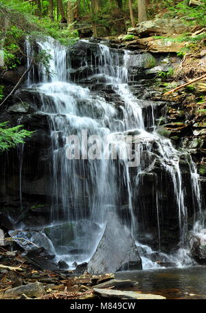 DUTCHMAN FALLS LOYALSOCK CREEK LOYALSOCK STATE FOREST SULLIVAN COUNTY ...