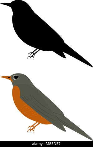 A red breasted robin Stock Vector Image & Art - Alamy