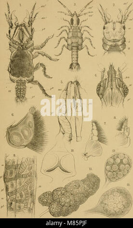 A zoological textbook describing various animal species, including ...