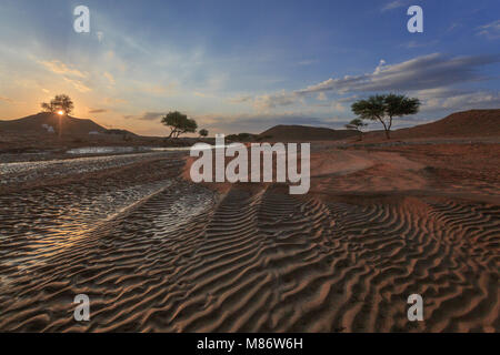 Desert sunset, Riyadh, Saudi Arabia Stock Photo - Alamy