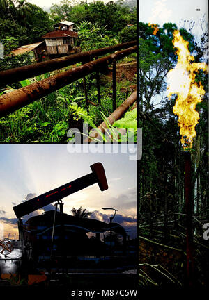 Ecuador - Territorio Cofan Dureno (2007) documents the indigenous Cofan ...