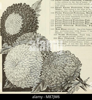 Dreer's garden calendar (1890 Stock Photo - Alamy