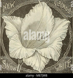 Dreer's garden calendar (1890 Stock Photo - Alamy