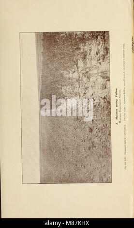 Dry-farming in America (1909 Stock Photo - Alamy