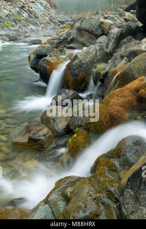 Stony Creek at confluence with North Fork Smith River, Smith River ...
