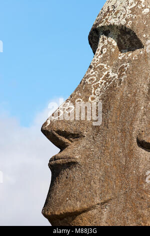 Moai head side view of one statue in Rano Raraku moai quarry on Easter ...