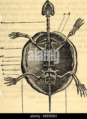 *Elementary Anatomy and Physiology* (1869) is an educational text ...