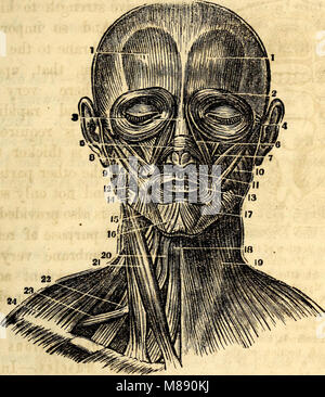 'Elementary Anatomy and Physiology' (1869) is a textbook aimed at ...