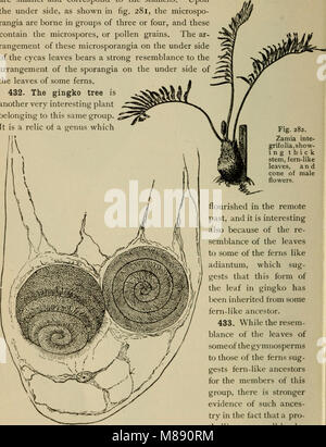This textbook serves as an introduction to botany, covering various ...