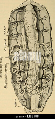 'Elementary Zoology' (1902) is an introductory textbook offering ...