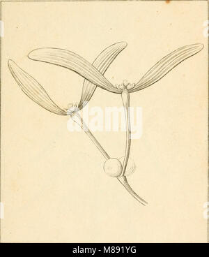 'Elements of the Science of Botany,' written by Linnaeus in 1809 ...