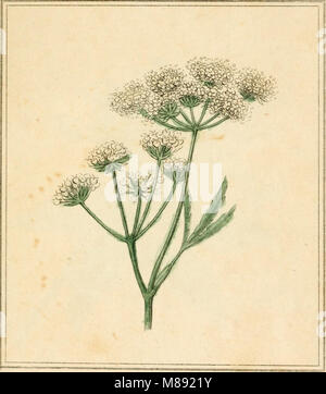 This textbook provides an introduction to botany, including the ...