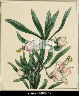 This 1812 work by Carl Linnaeus outlines the fundamental principles of ...