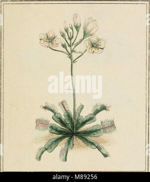 This 1812 work outlines the principles of botany as established by Carl ...