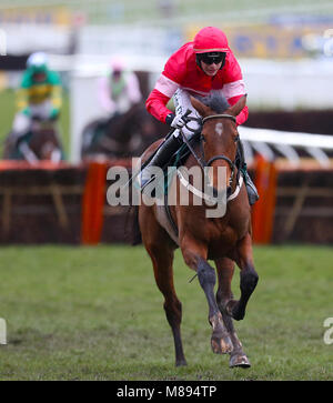 Laurina ridden by jockey Paul Townend on his way to winning the Trull ...