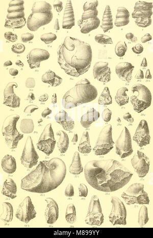 This geological work focuses on the Devonian period in Missouri ...