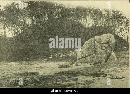 The 1908 facsimile and text of the Book of Aneirin presents ancient ...