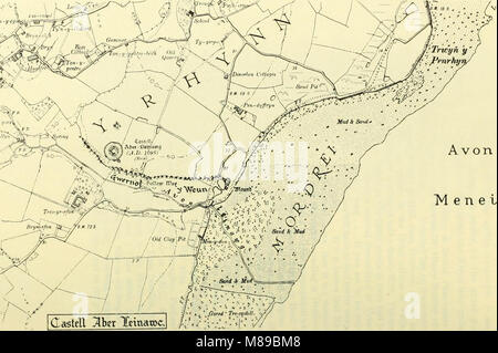 The 1908 facsimile and text of the Book of Aneirin presents ancient ...