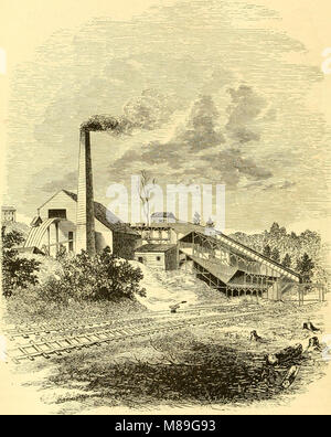 This historical work examines the early years of the Bernadotte dynasty ...