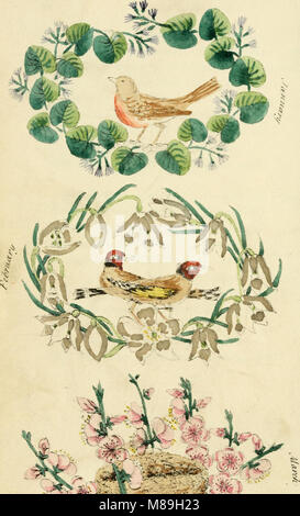 This text discusses various species of plants, including those from the ...